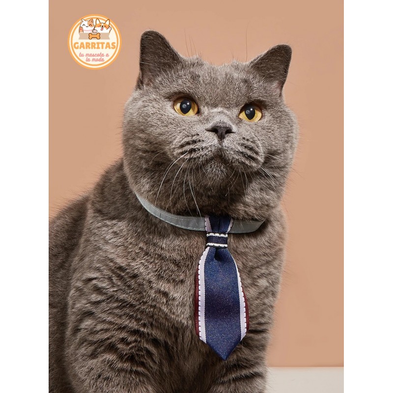 Collar con corbata para mascotas